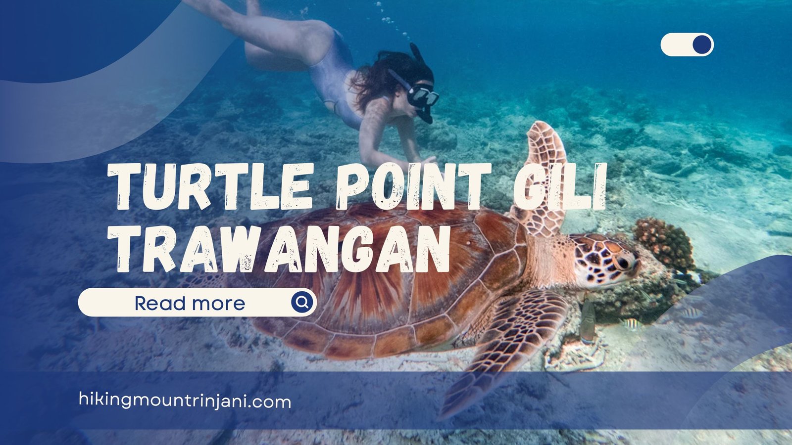 Turtle Point Gili Trawangan Swim with Sea Turtles - Hiking Mount Rinjani