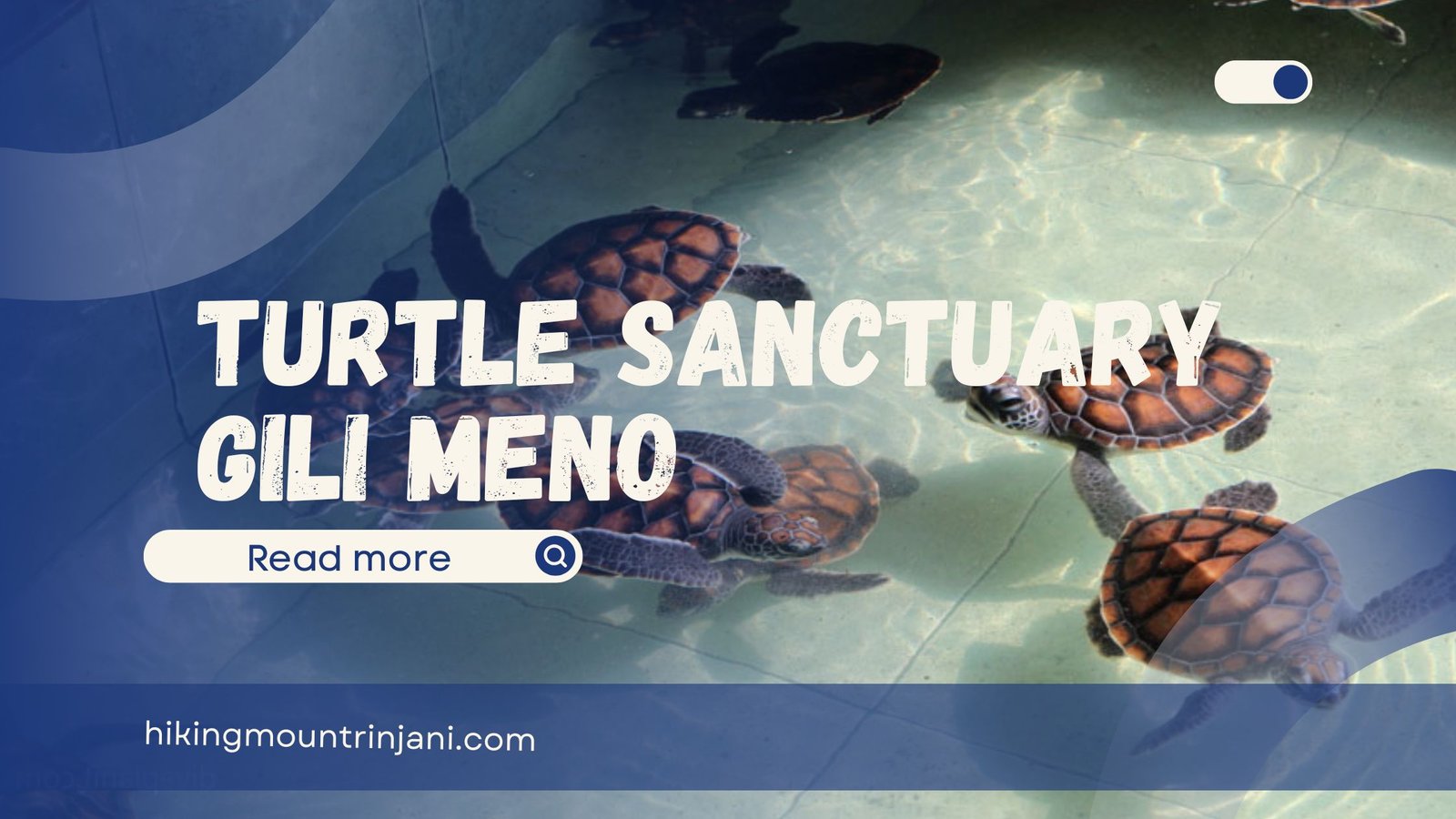 Discover Turtle Sanctuary Gili Meno A Haven for Marine Life - Hiking ...